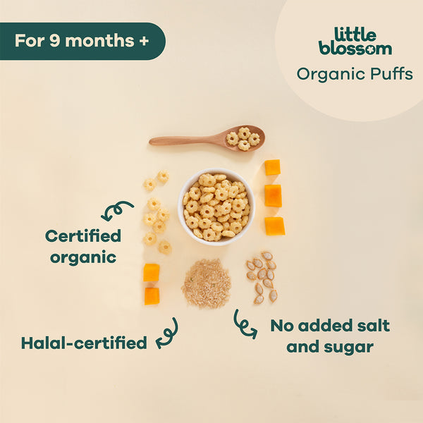 Little Blossoms Organic Brown Rice Puffs - Pumpkin | motherswork ...